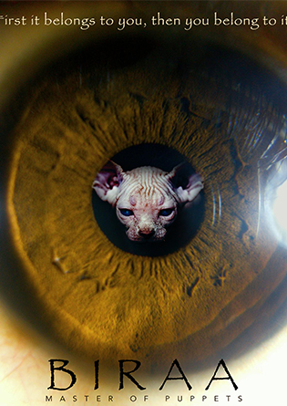 NAFF Project Market | BIFAN